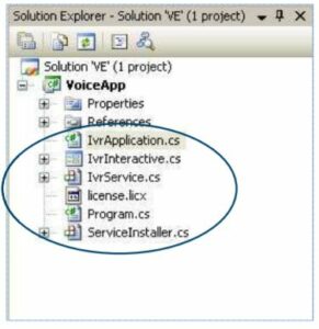 Voice Elements Skeleton Project - C | Voice Elements